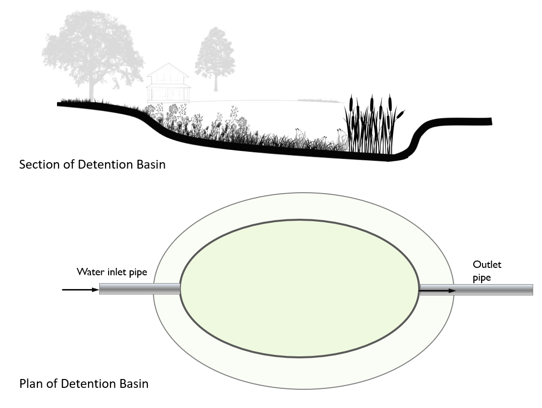 Flood prevention and butterflies: The role and potential of stormwater ...