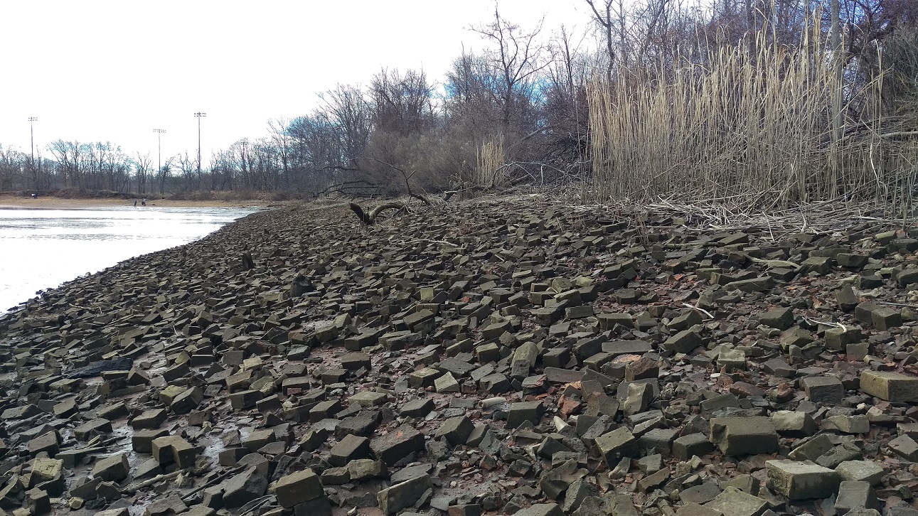 South River’s “Brick Beach” | Lower Raritan Watershed Partnership