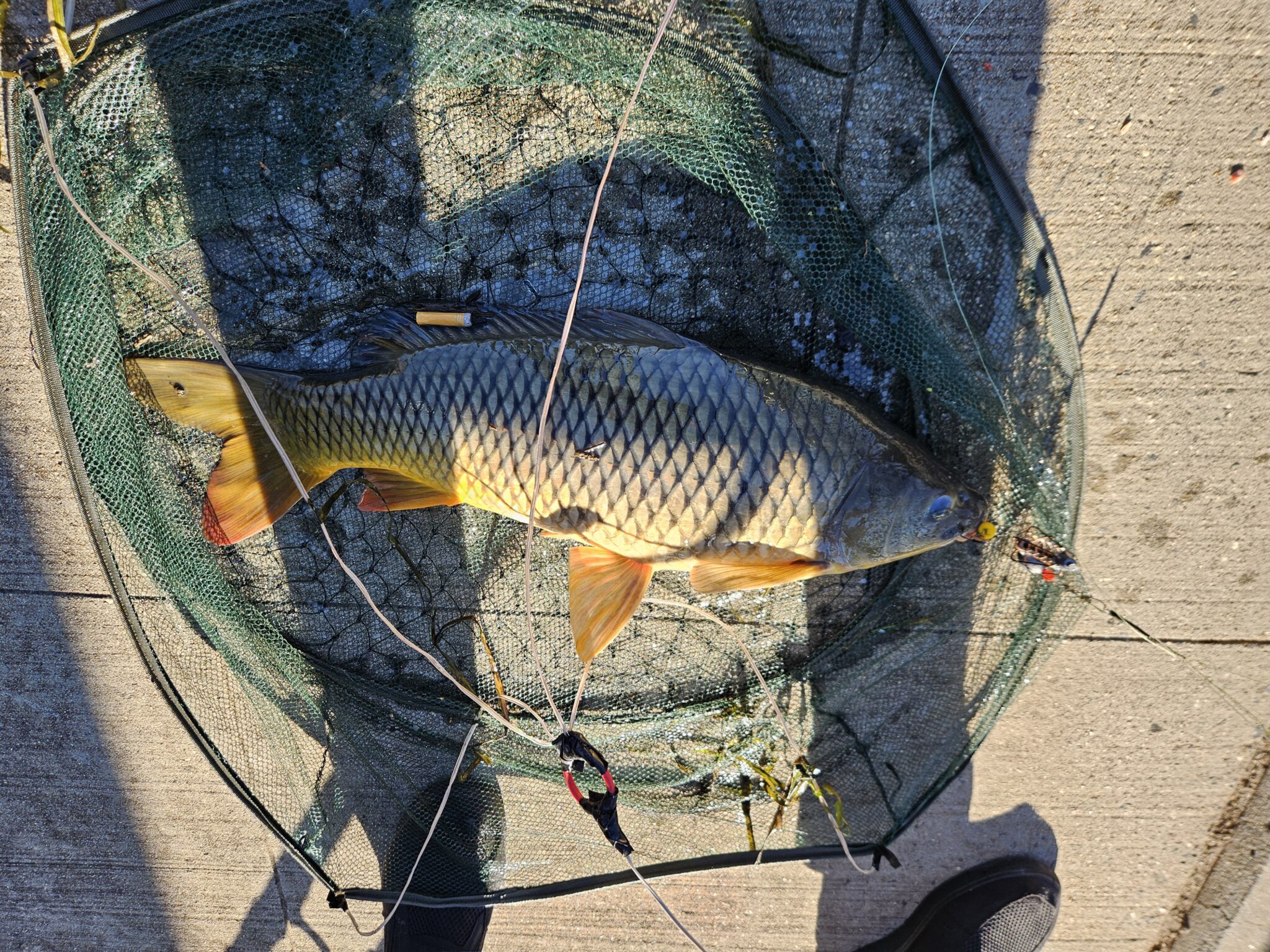 Lower Raritan Watershed Partnership | Sharing information about New ...